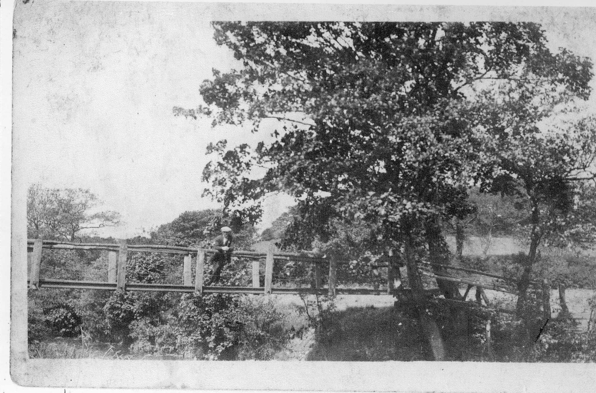 Butterfly Bridge - Winlaton & District Local History Society